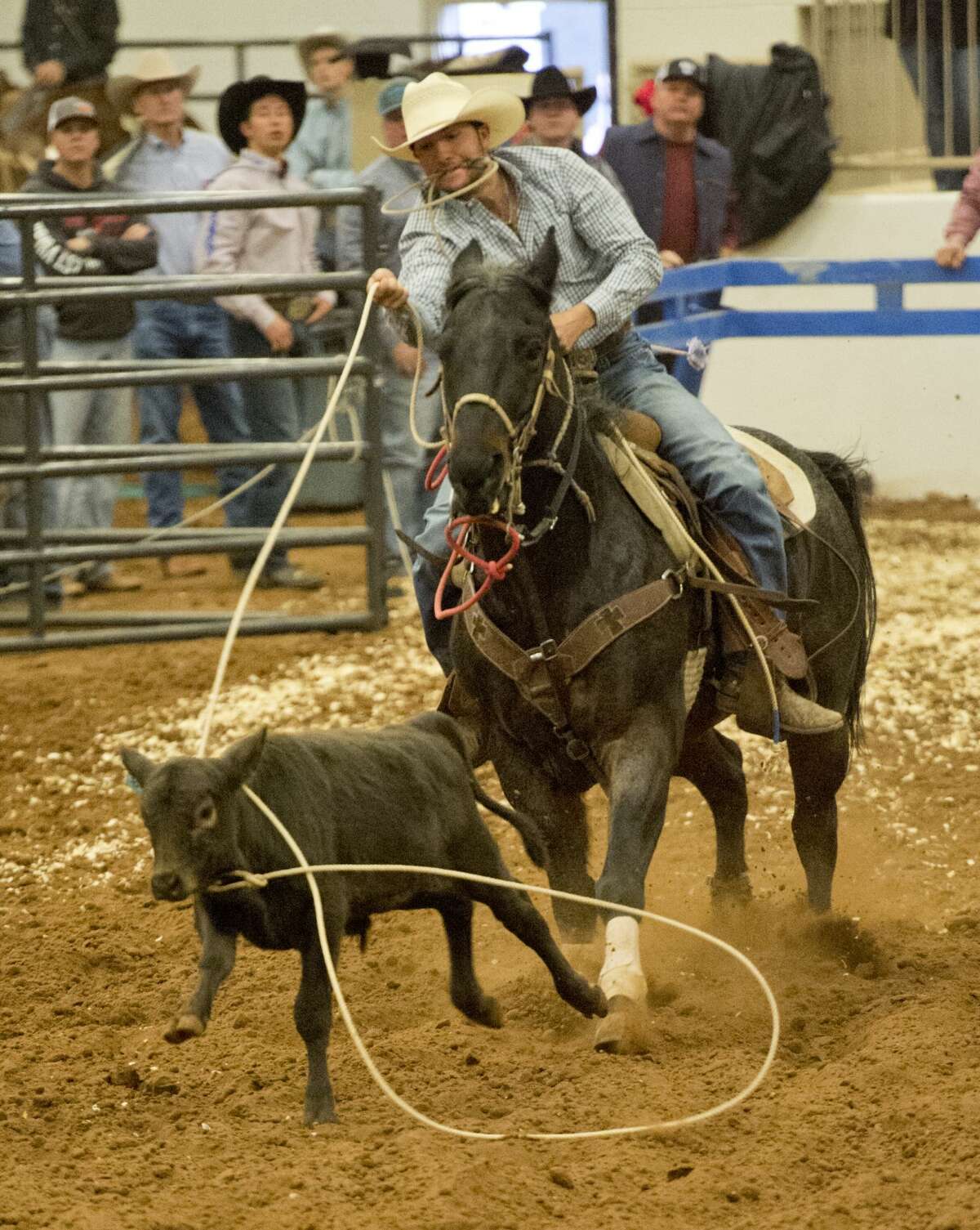 Tall City Ultimate New Year's Eve Jr. Calf Roping & Ultimate Calf ...