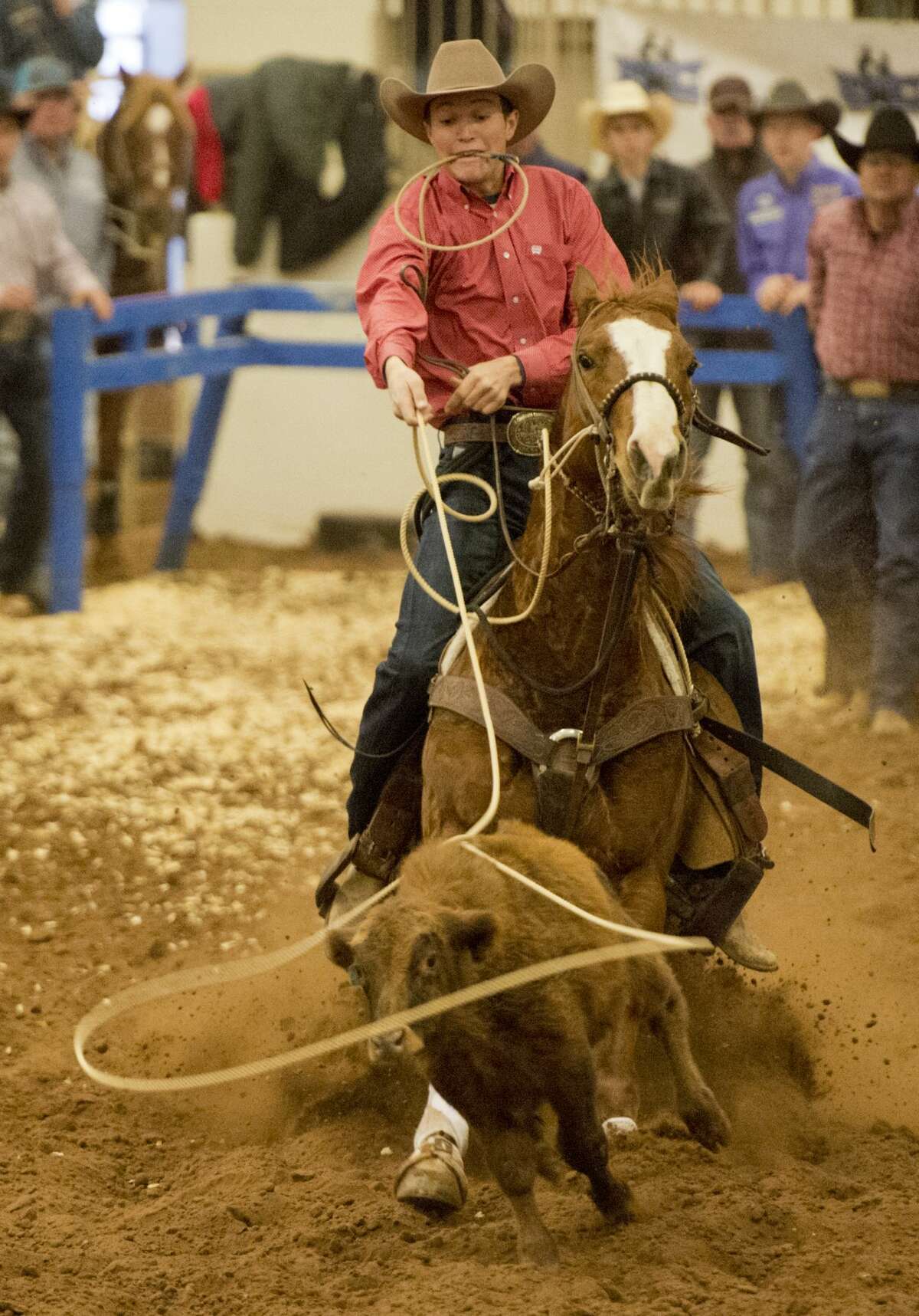 Tall City Ultimate New Year's Eve Jr. Calf Roping & Ultimate Calf ...