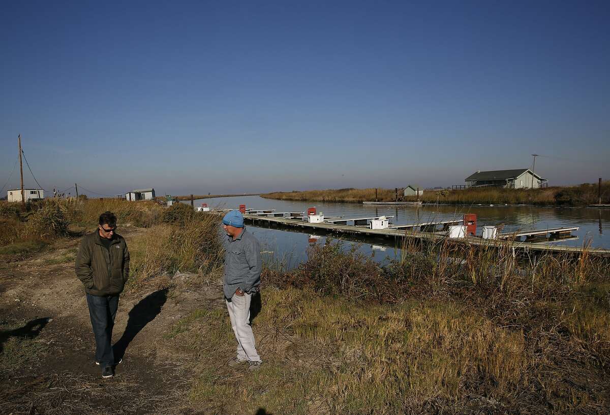 Property owner wins round in delta duck club fight — $3.6 million fine ...