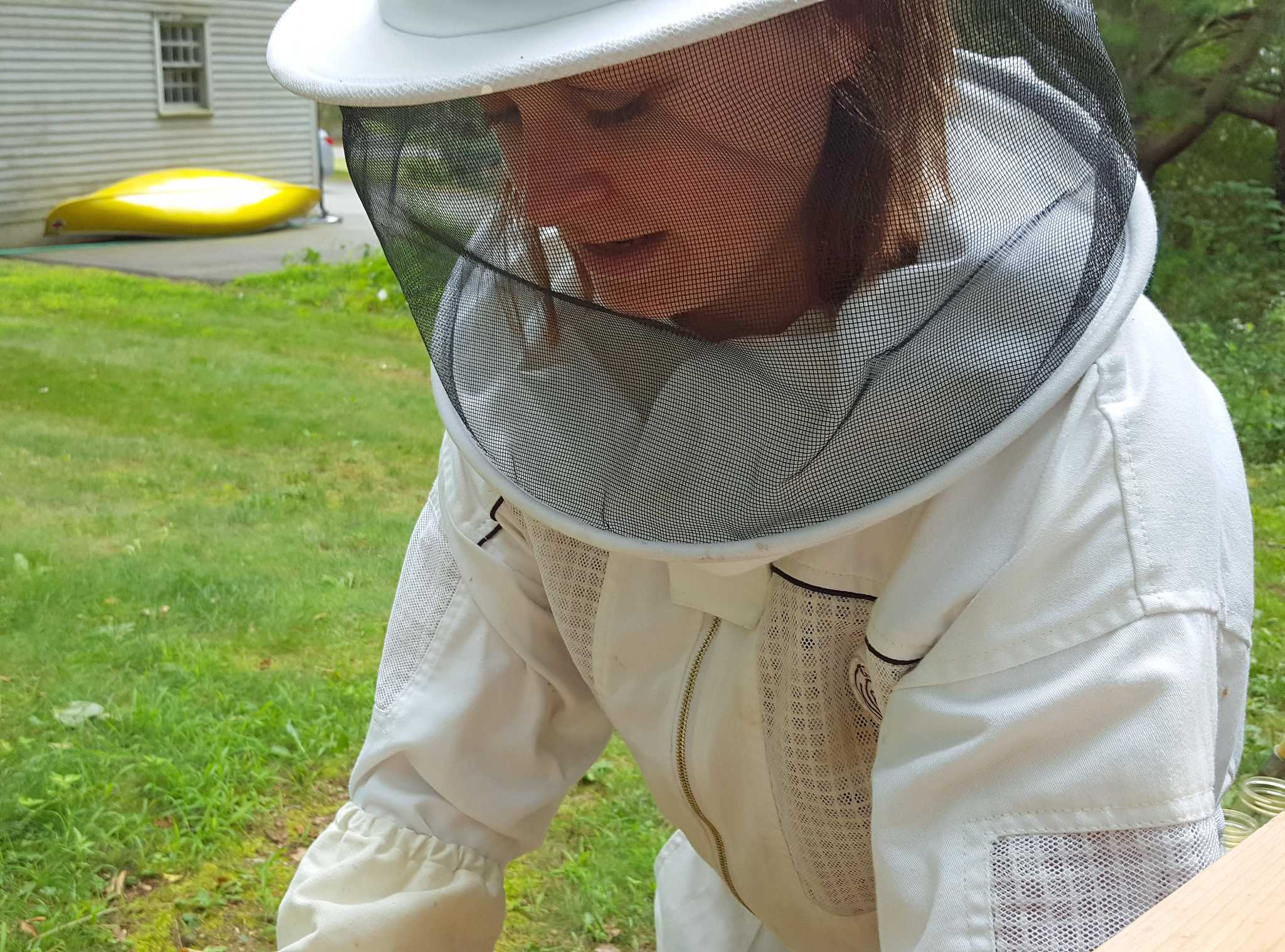 Beekeeping, a springtime pursuit you can do in winter; start your hive now