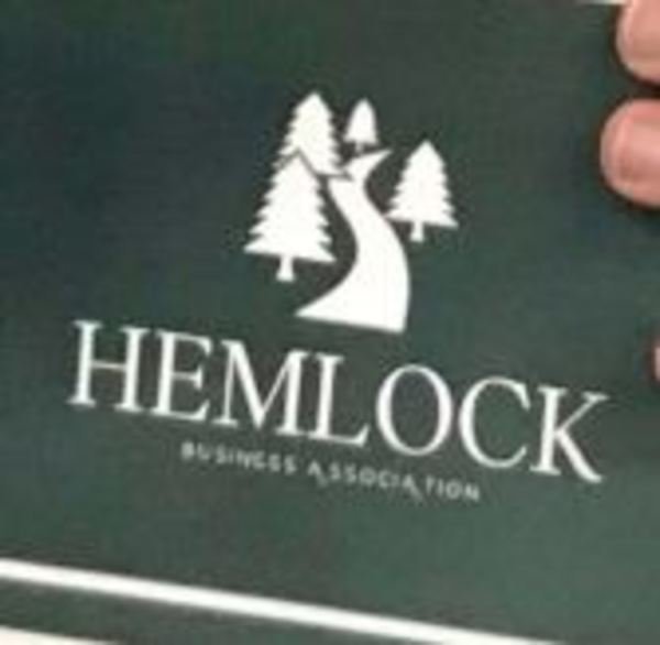 Student designs Hemlock Business Association logo