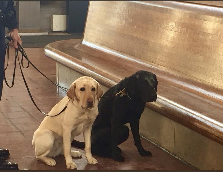 State police, K9 partners roam trains for New Year’s