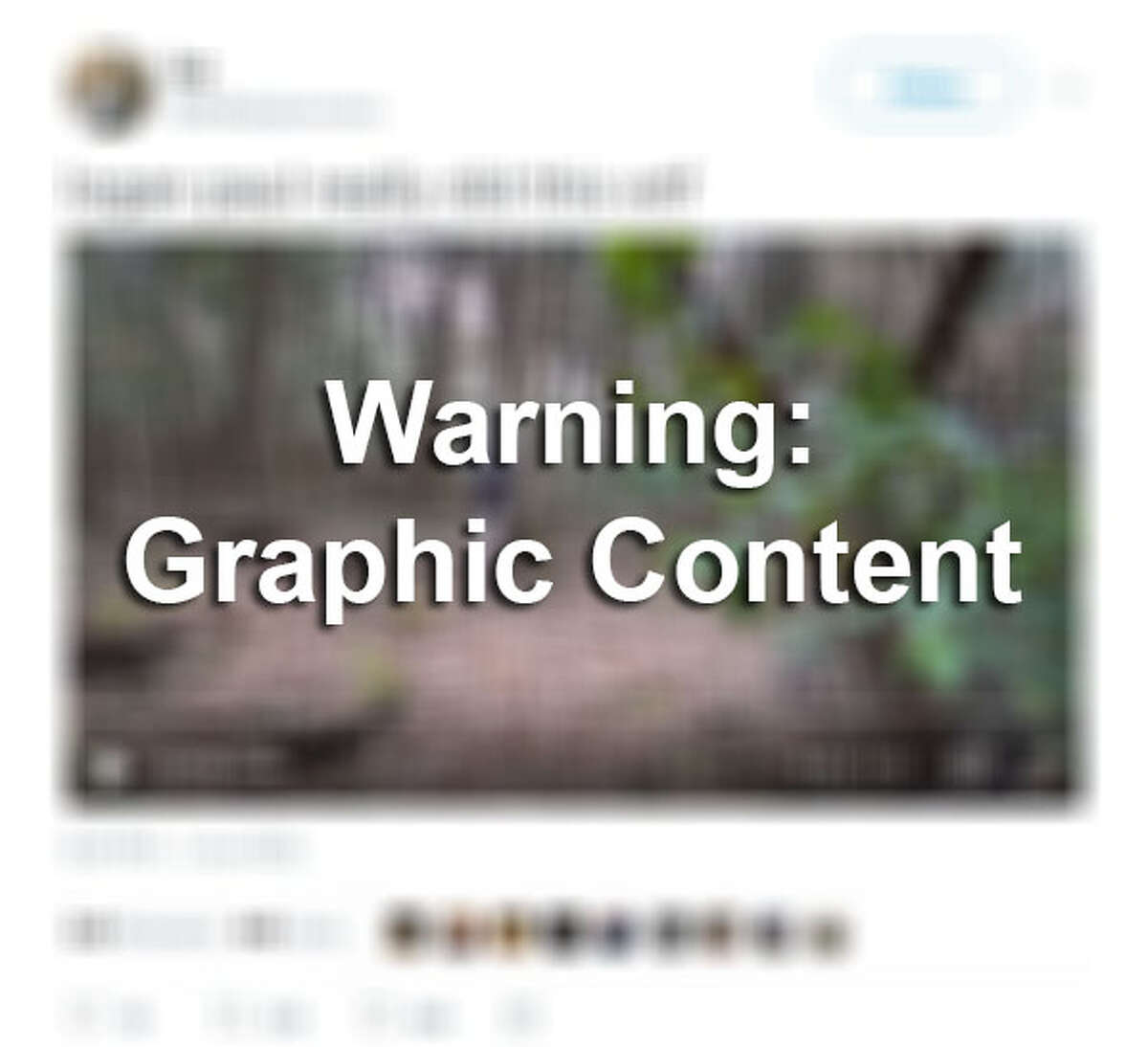 YouTuber Logan Paul Under Fire for Posting ‘Sickening’ Footage of Dead ...