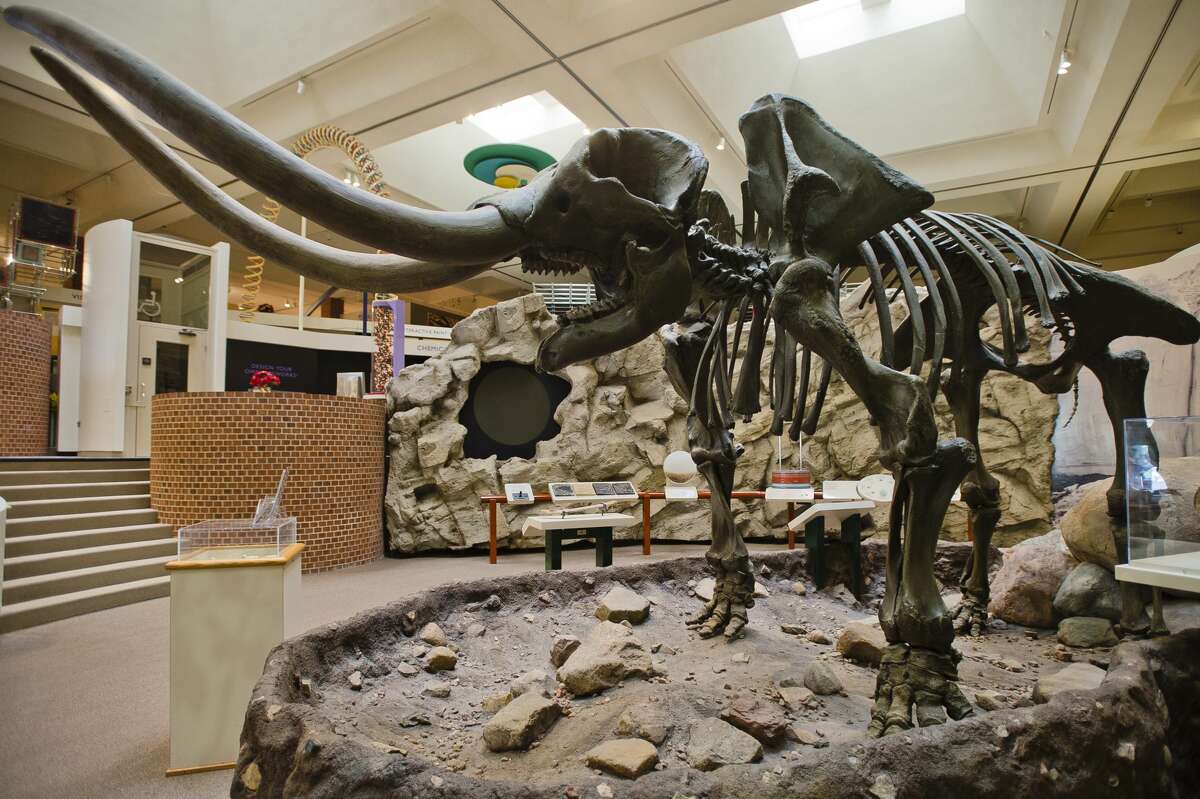 "Manny" the mastodon skeleton at MCFTA to be repaired, moved to Doan ...