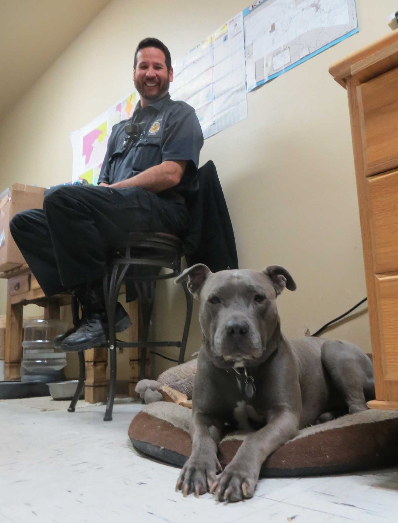 Activists blast Kerr officials for failing to find a home for stray ...
