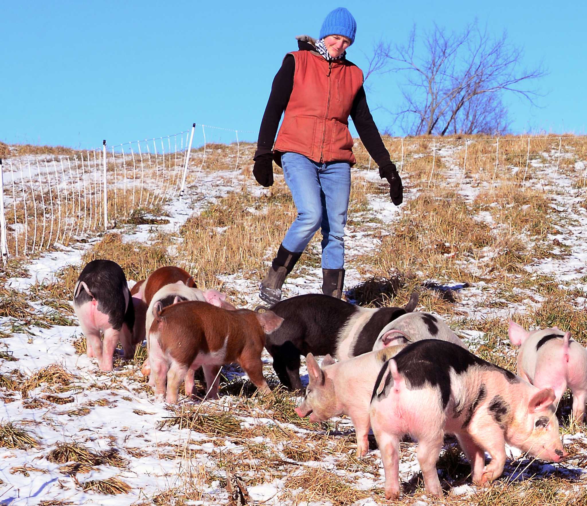 Area farms carve grass-fed, pasture-raised meat niche