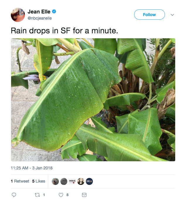 San Franciscans react to sprinkle of rain in January