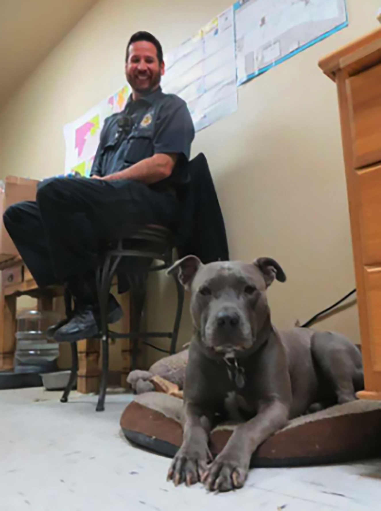Kerr officials blasted for failing to find a home for stray-turned ...