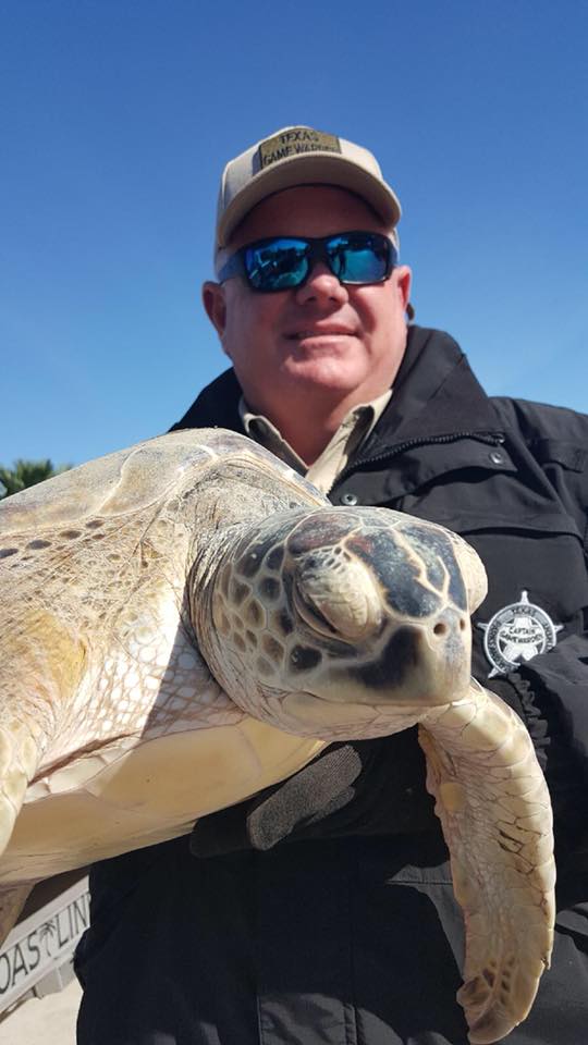Photos: Sea turtles rescued from stunning cold along Texas Coast