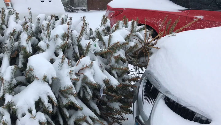 Storm packs a wallop