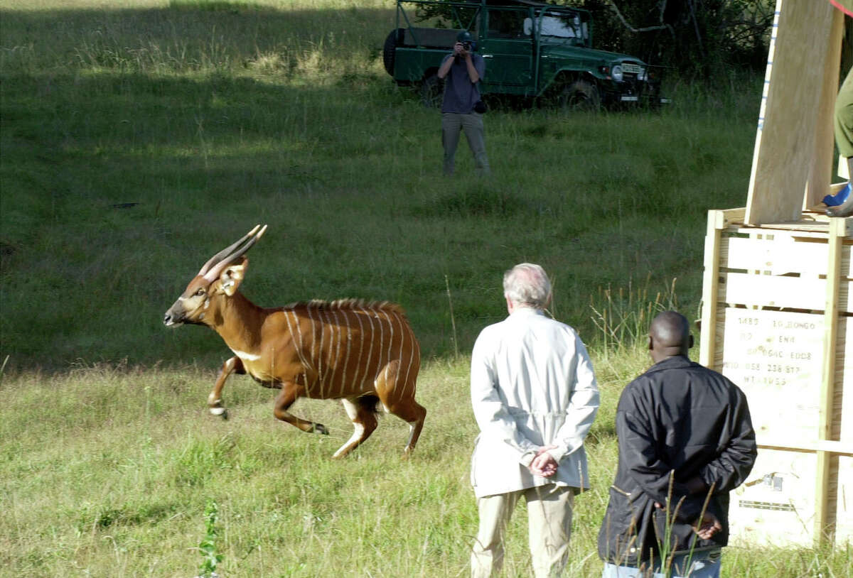 How hunting rare, exotic animals in Texas increases their value