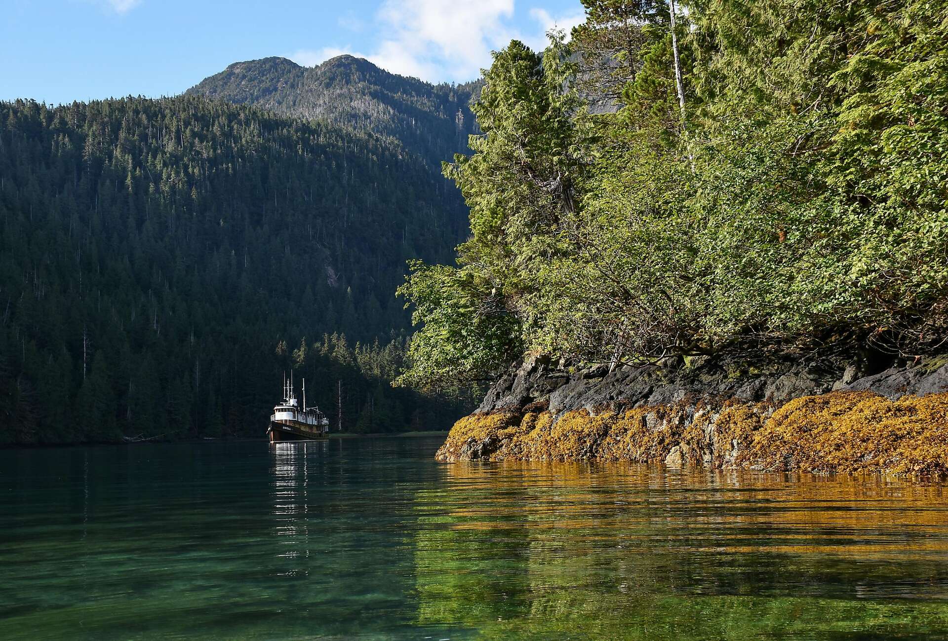 Cruise: Voyaging sacred waters of B.C.’s ancient islands