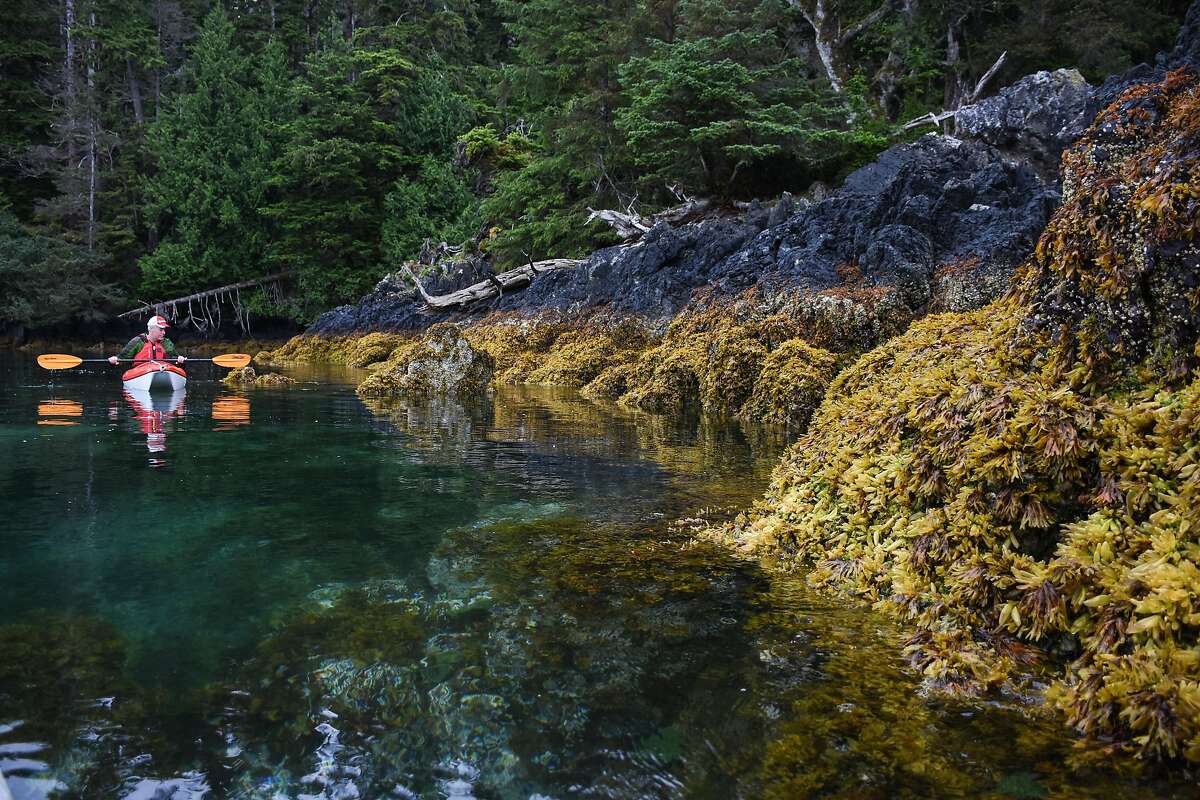 Cruise: Voyaging sacred waters of B.C.’s ancient islands
