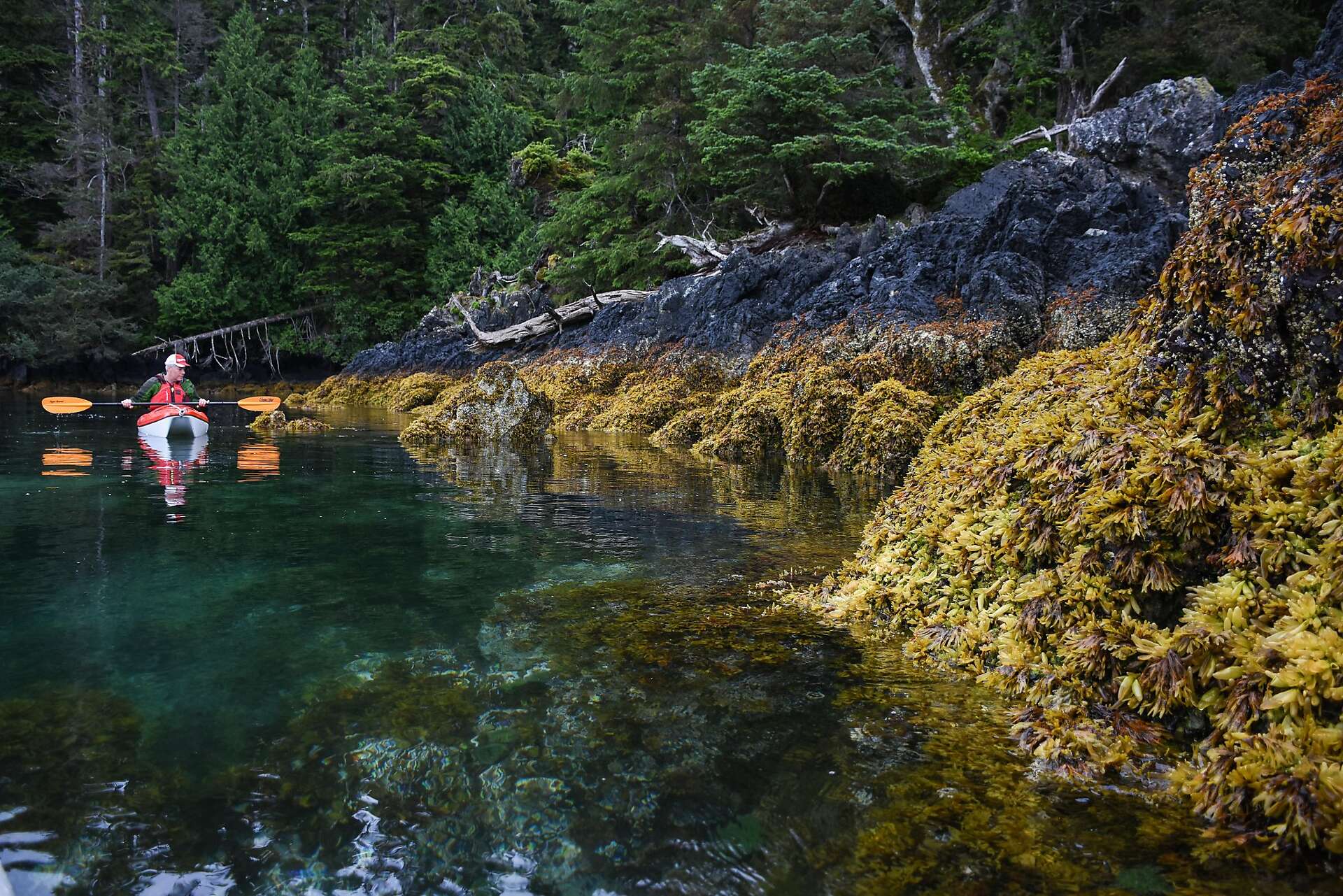 Cruise: Voyaging sacred waters of B.C.’s ancient islands