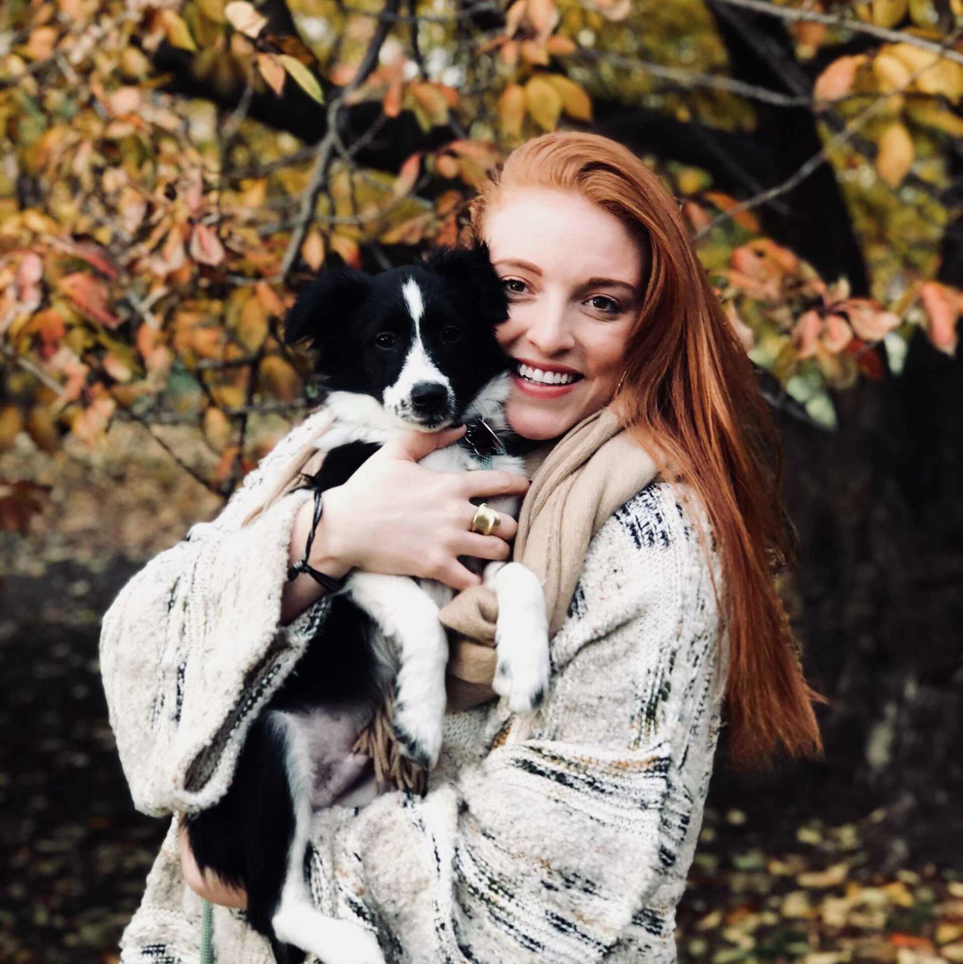 Santa Rosa shelter dog makes his way to the Puppy Bowl, and new home