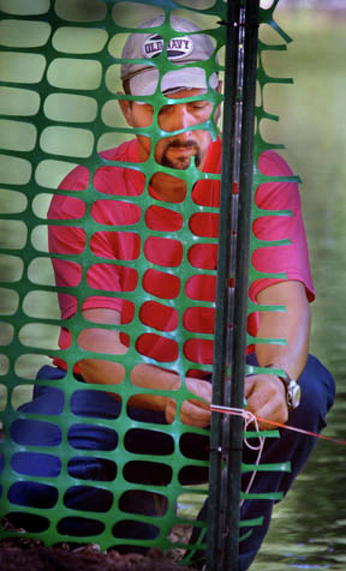 Todd's Pond Bird Problem