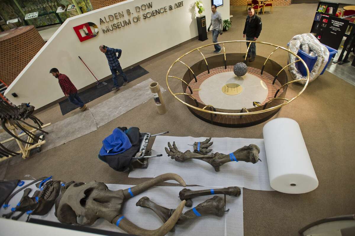 Mastodon skeleton disassembled at Center for the Arts