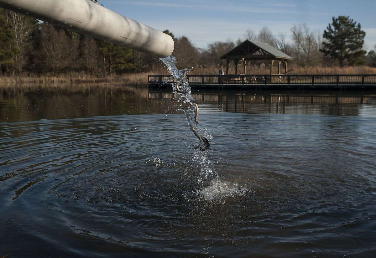 Houston-area spring breakers have another low-cost option: Fishing