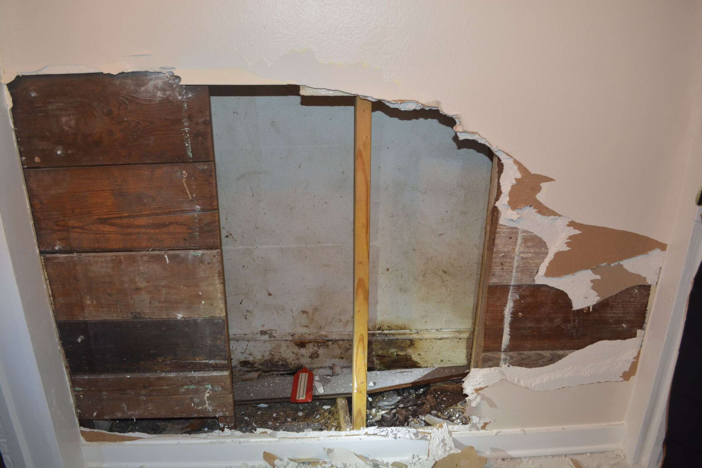 Remains found in wall of Heights home identified as those of Mary ...