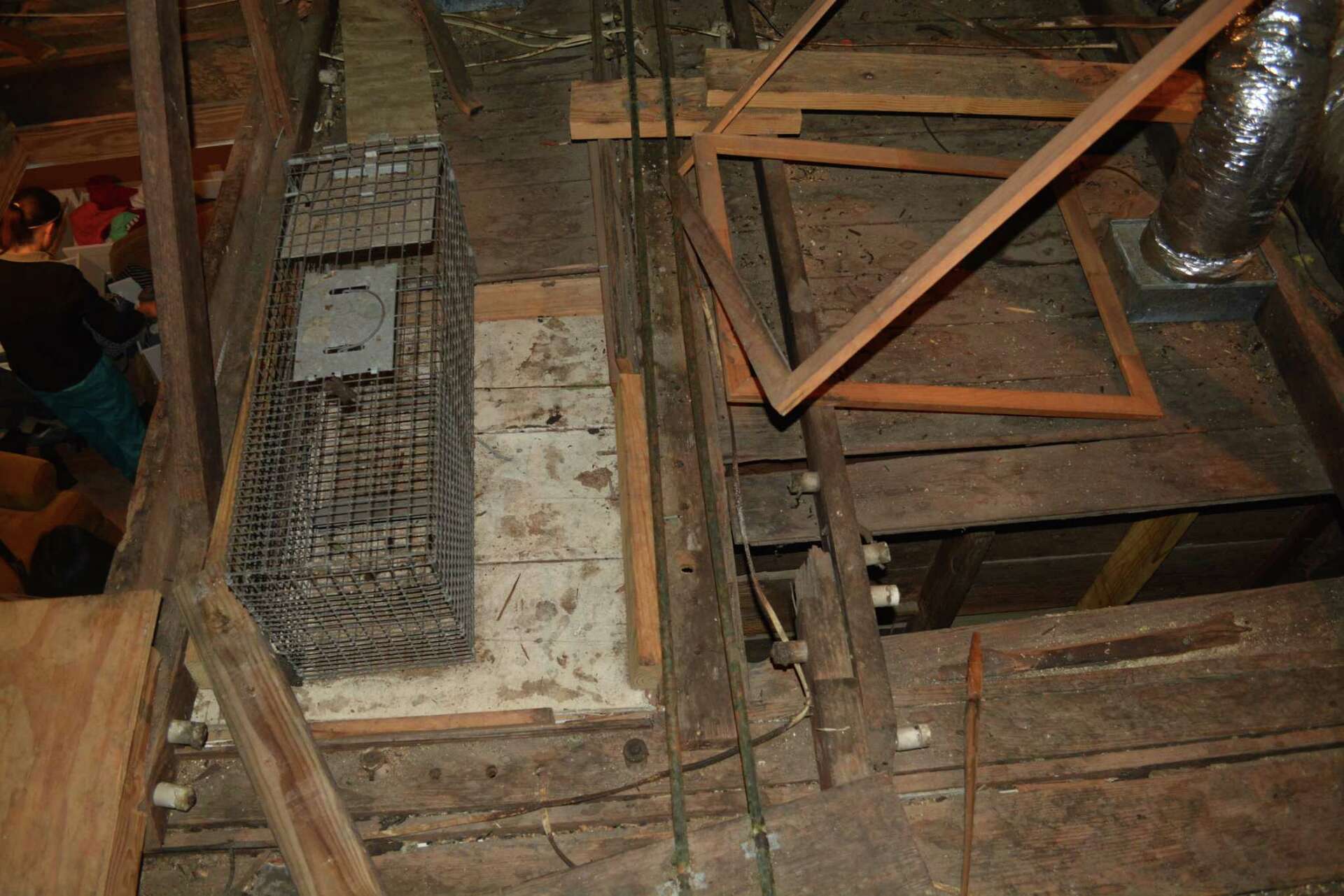 Remains found in wall of Heights home identified as those of Mary ...