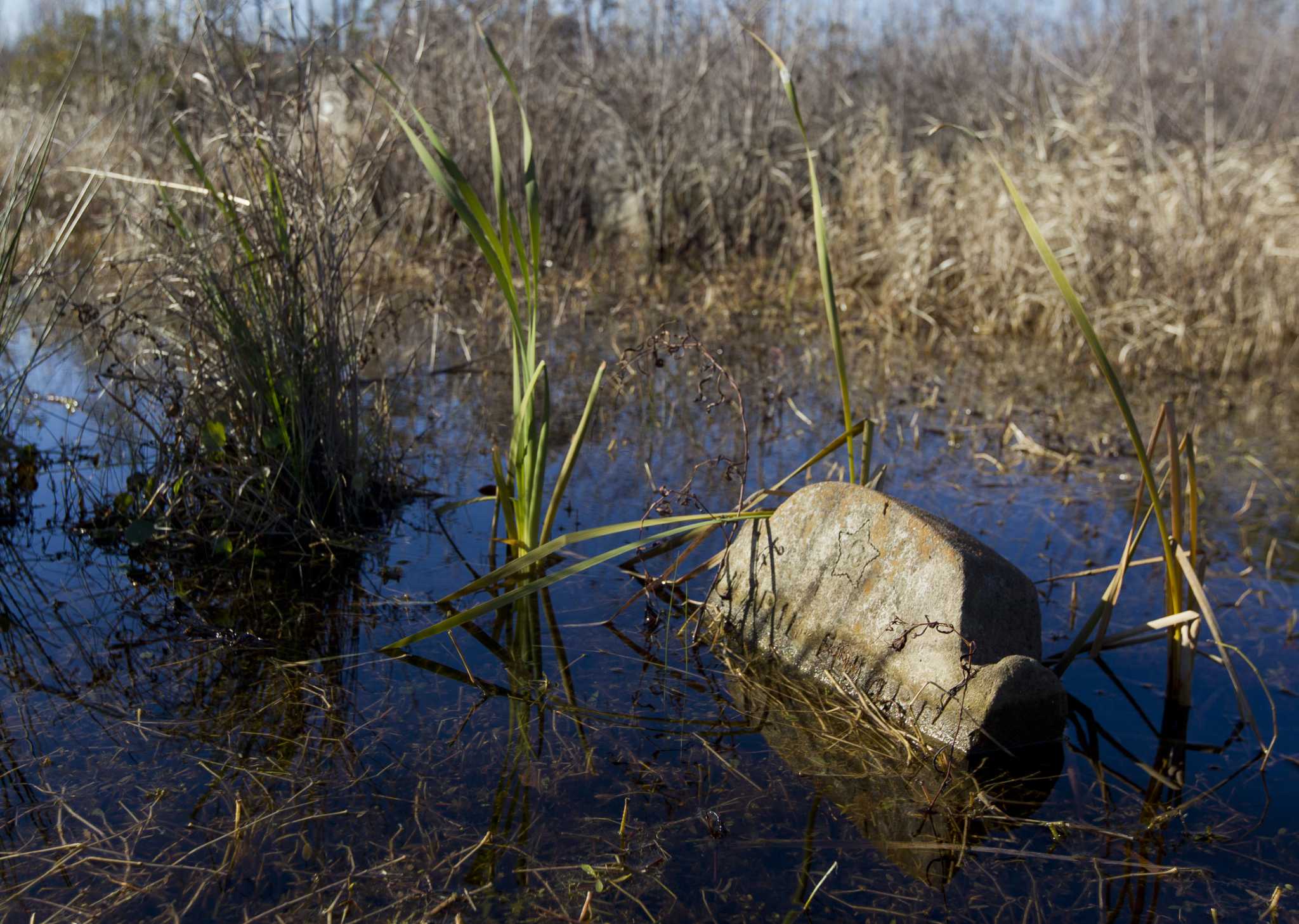 Tamina community hopes to save submerged Sweet Rest Cemetery