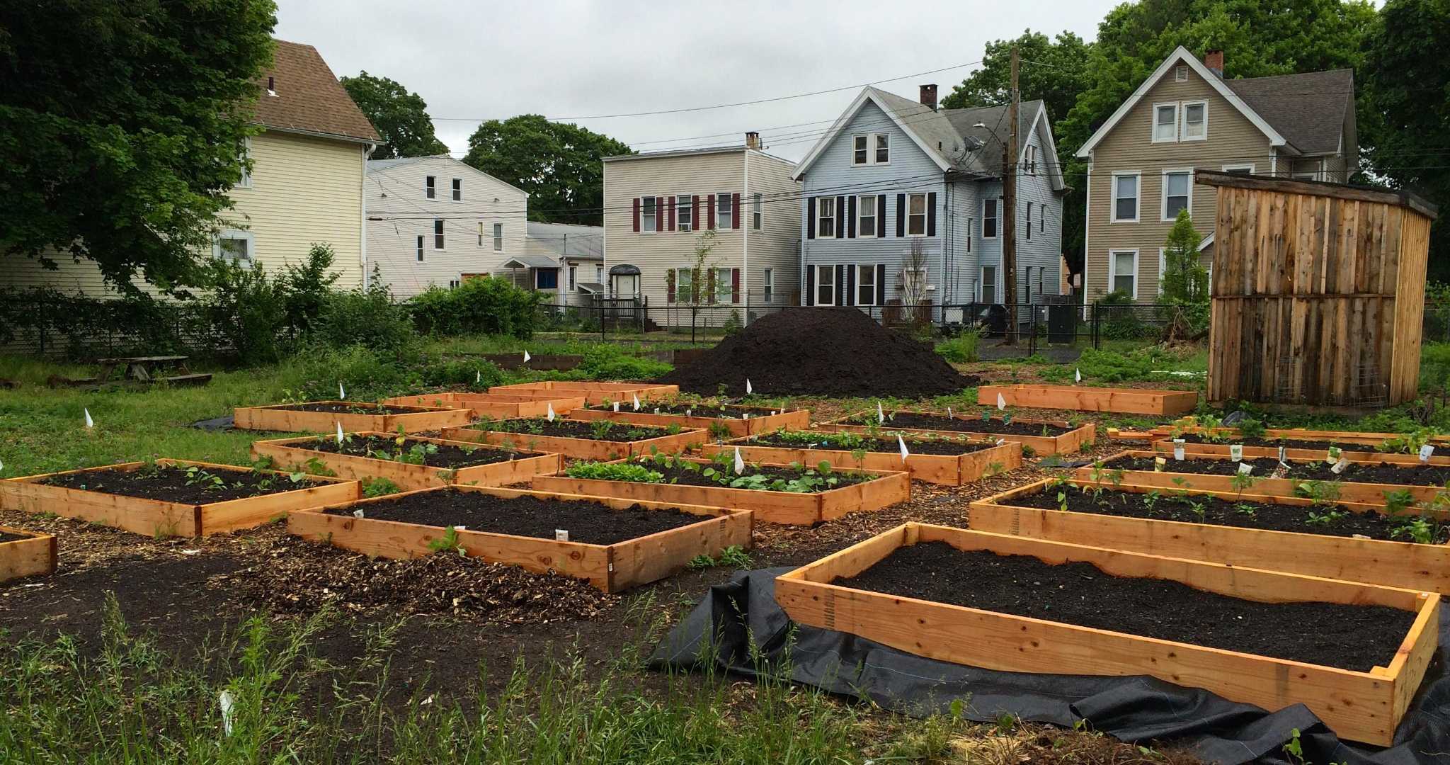 New Haven Farms to expand healthful garden program