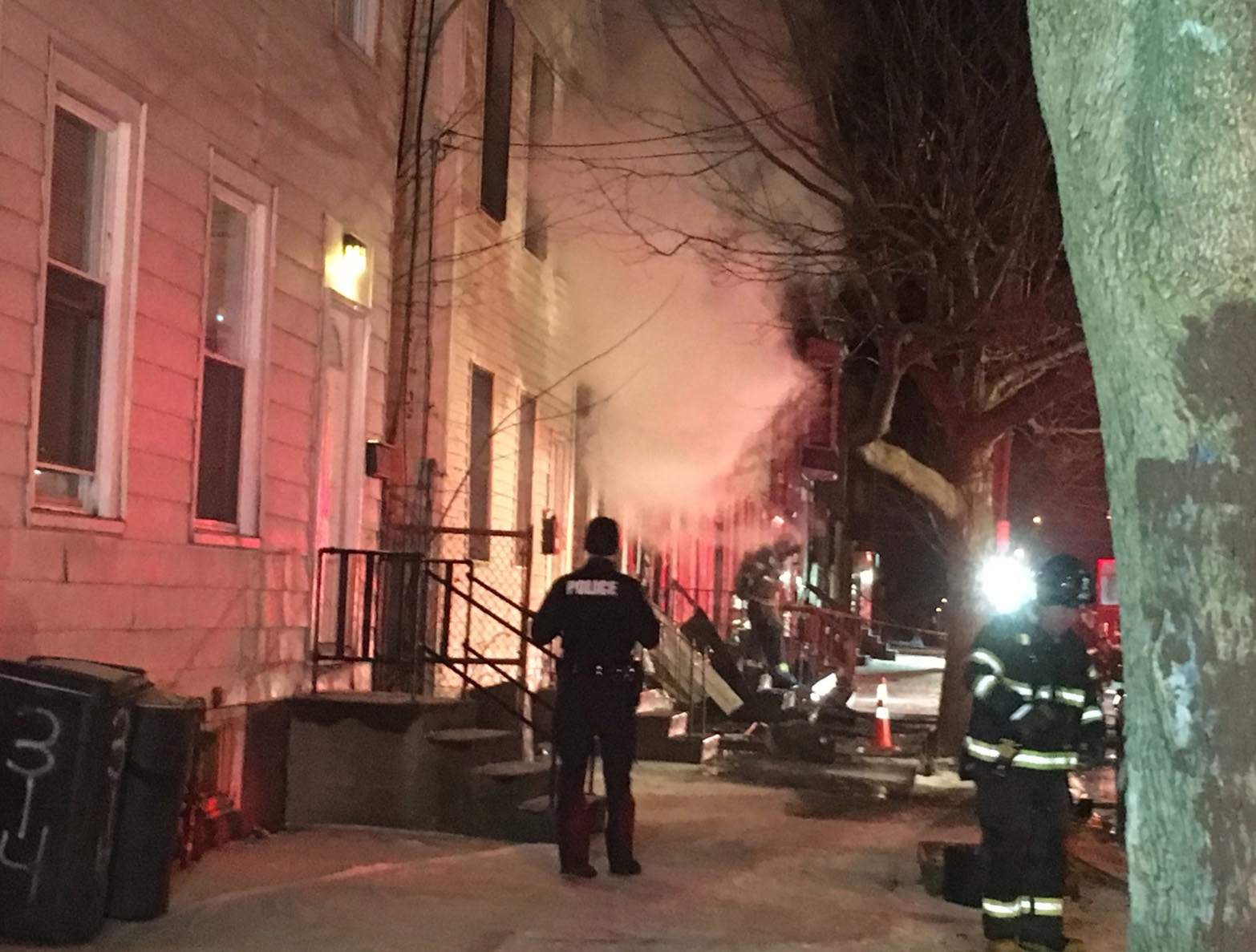 Albany fire injures woman, destroys home