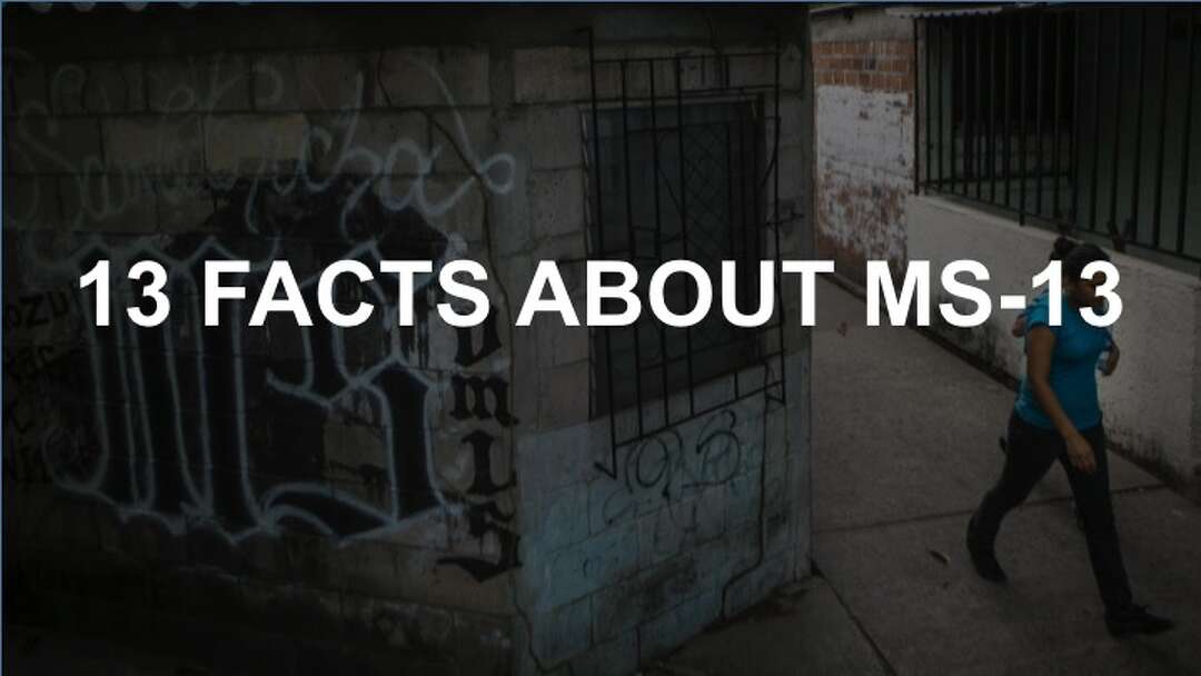 How the MS-13 formed an unholy alliance with the powerful Mexican cartels