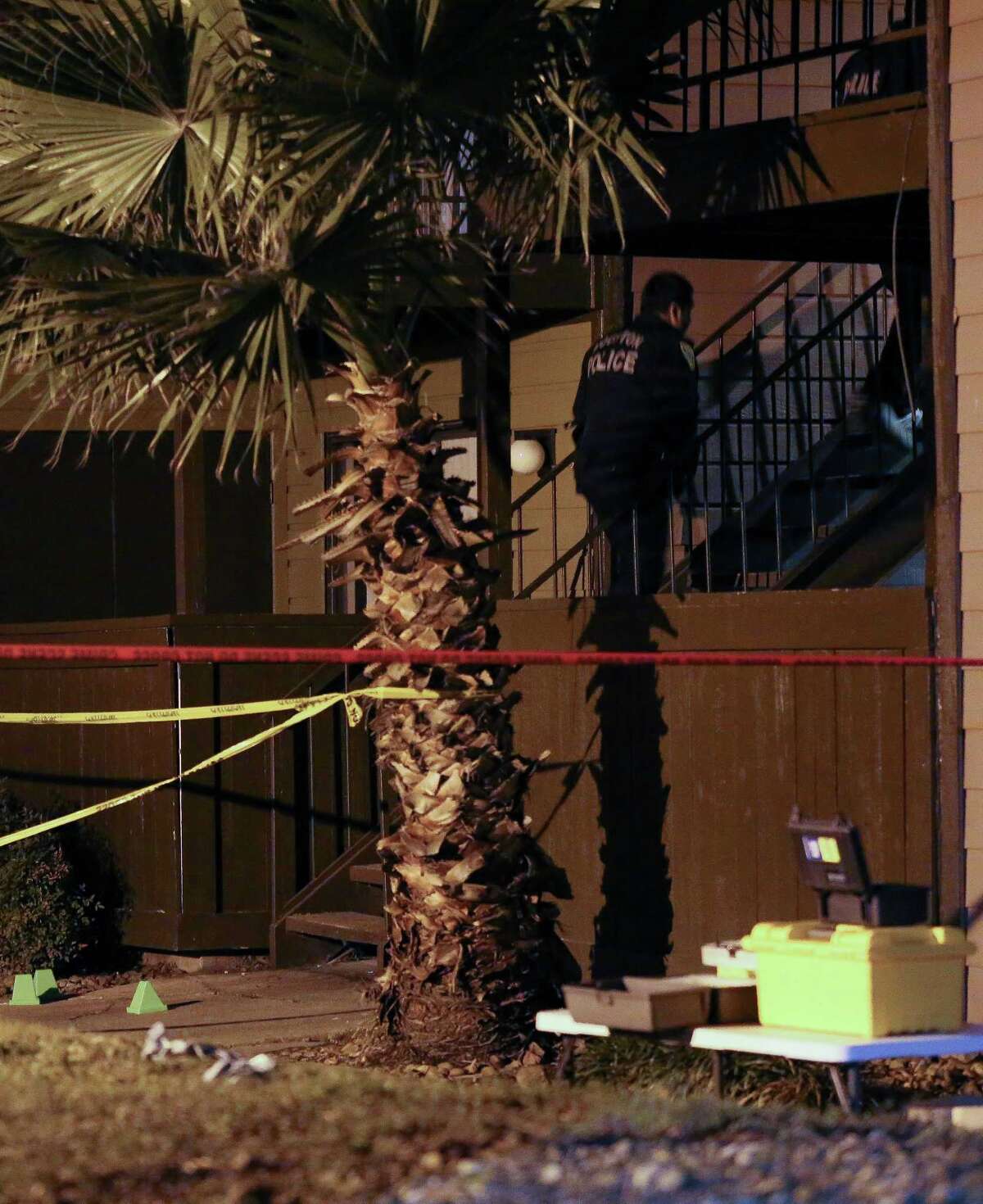 Houston woman charged with murder in boyfriend's stabbing