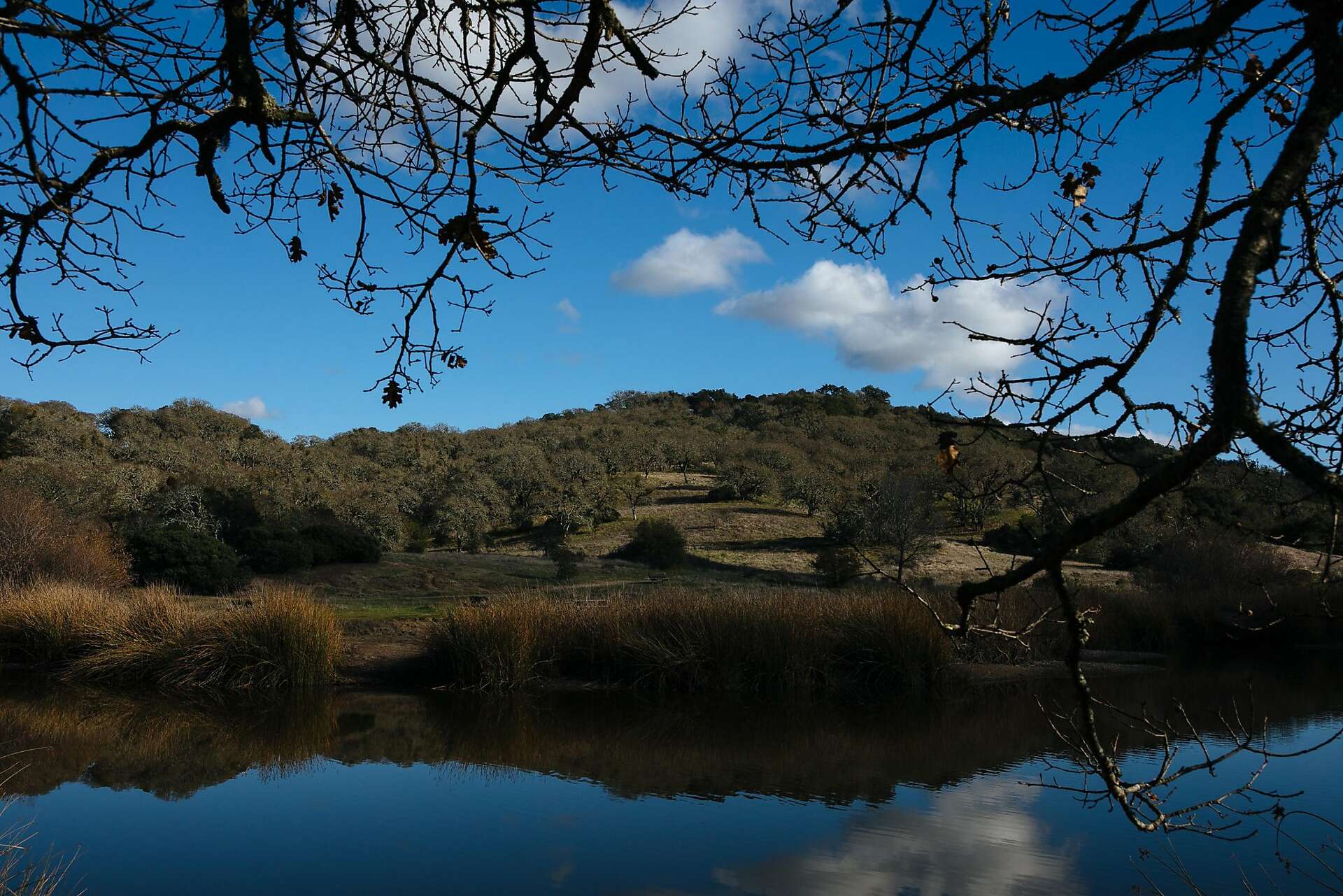 The 5 best hikes around Healdsburg