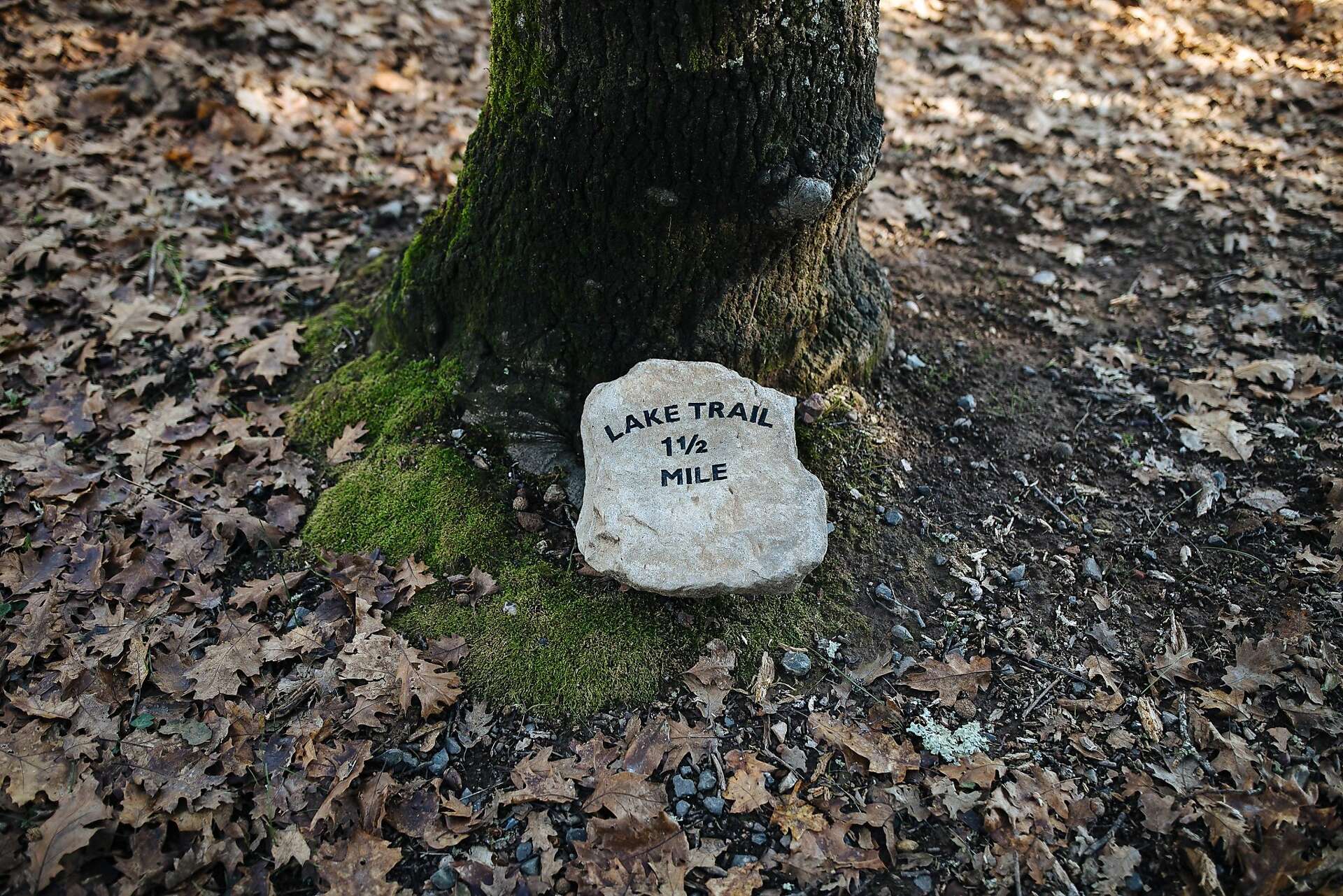 The 5 best hikes around Healdsburg