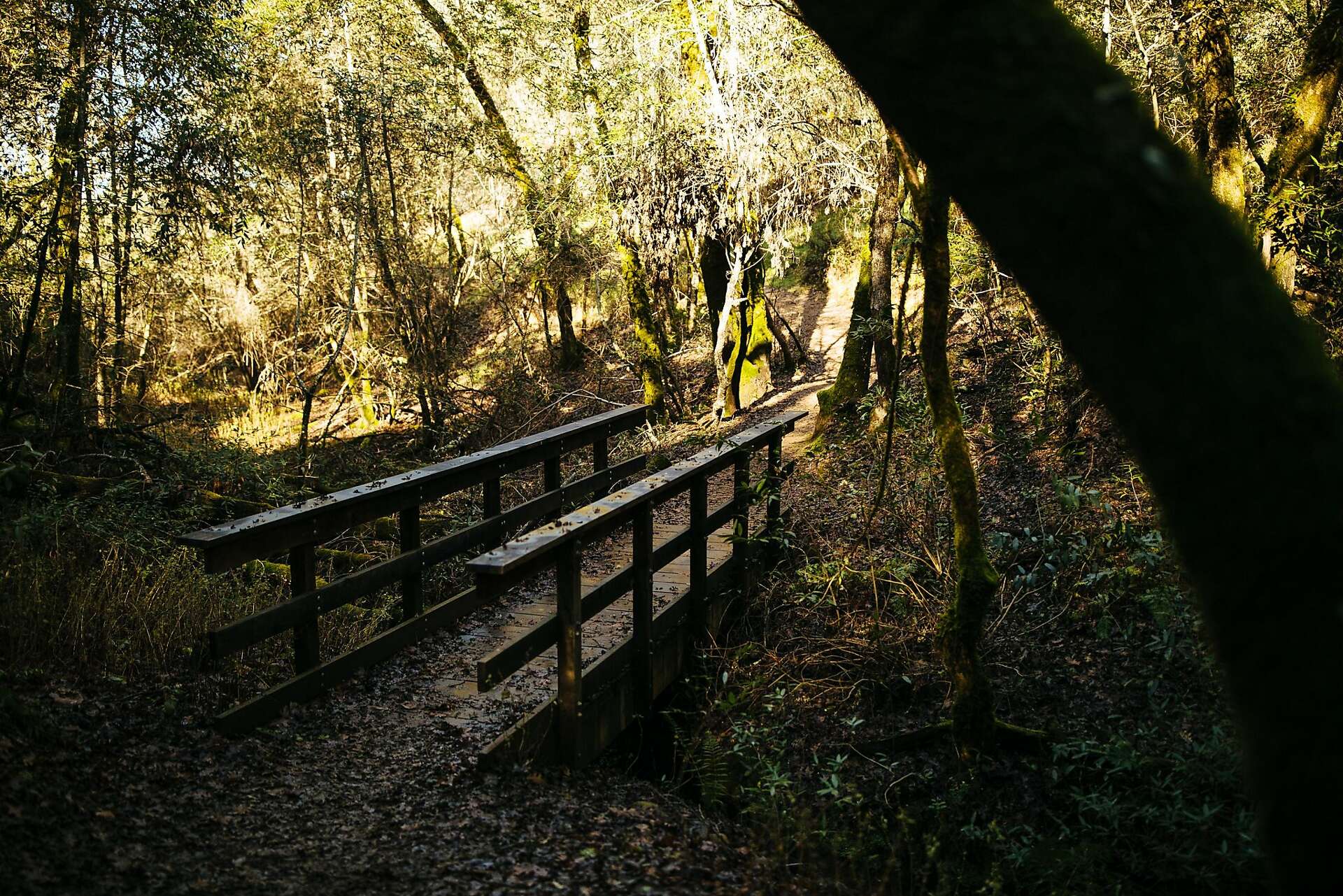 The 5 best hikes around Healdsburg