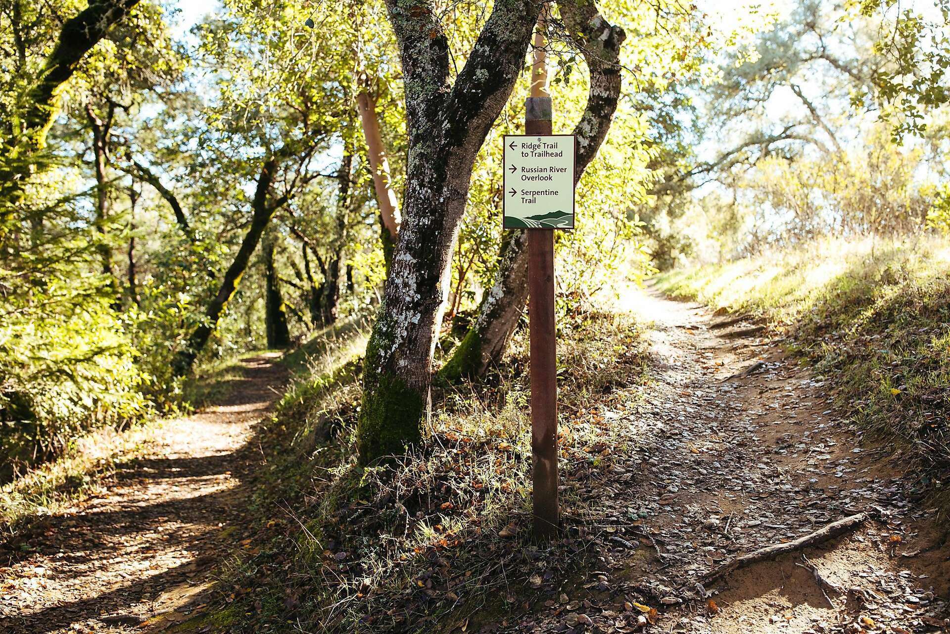The 5 best hikes around Healdsburg
