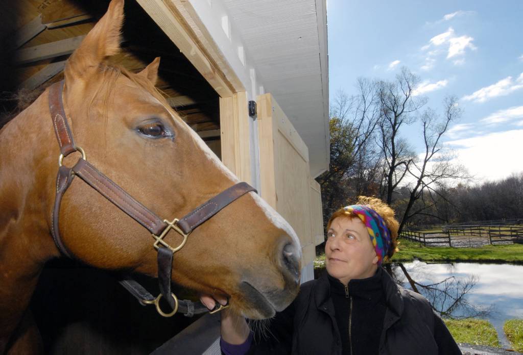 A greener pasture for old athletes