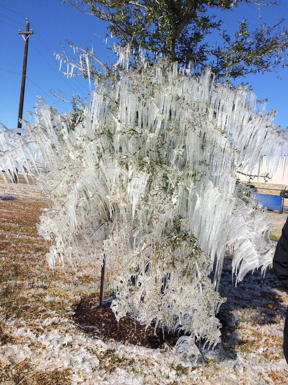 The best ice storm photos shared by Houston readers on social media