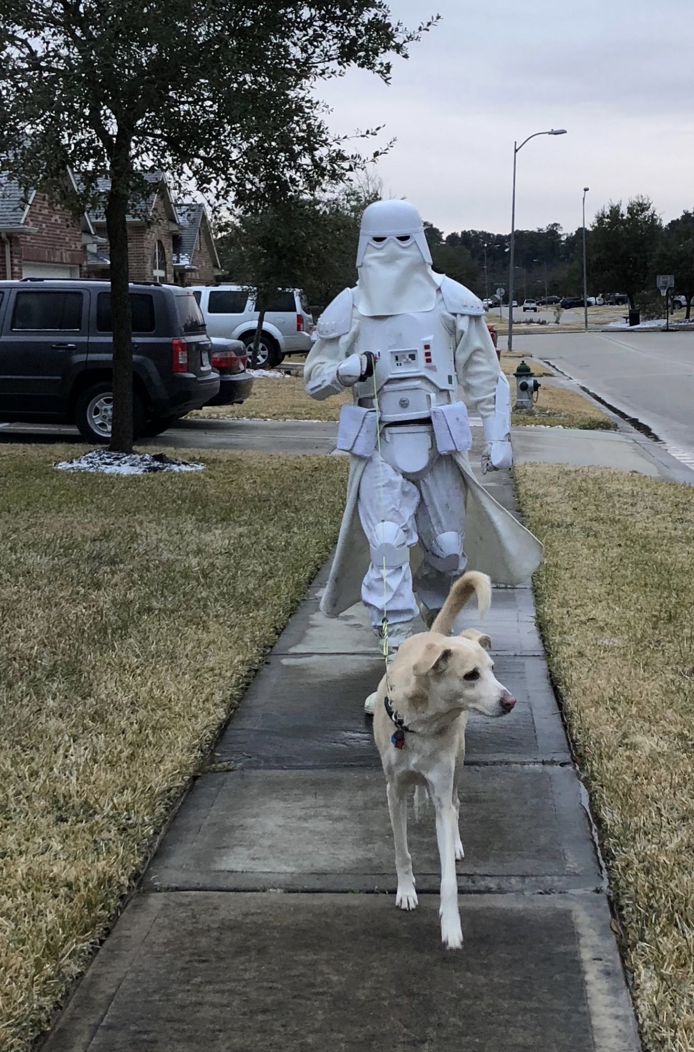 Houston man walks his dog through the cold and ice dressed as a ...