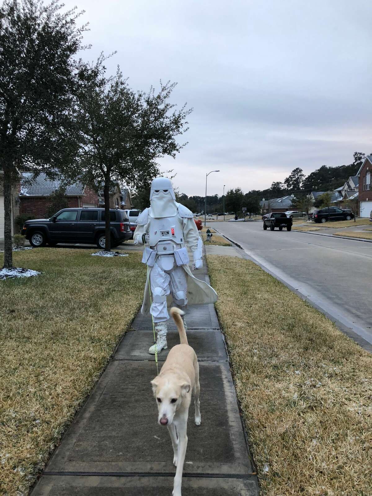 Houston man walks his dog through the cold and ice dressed as a ...