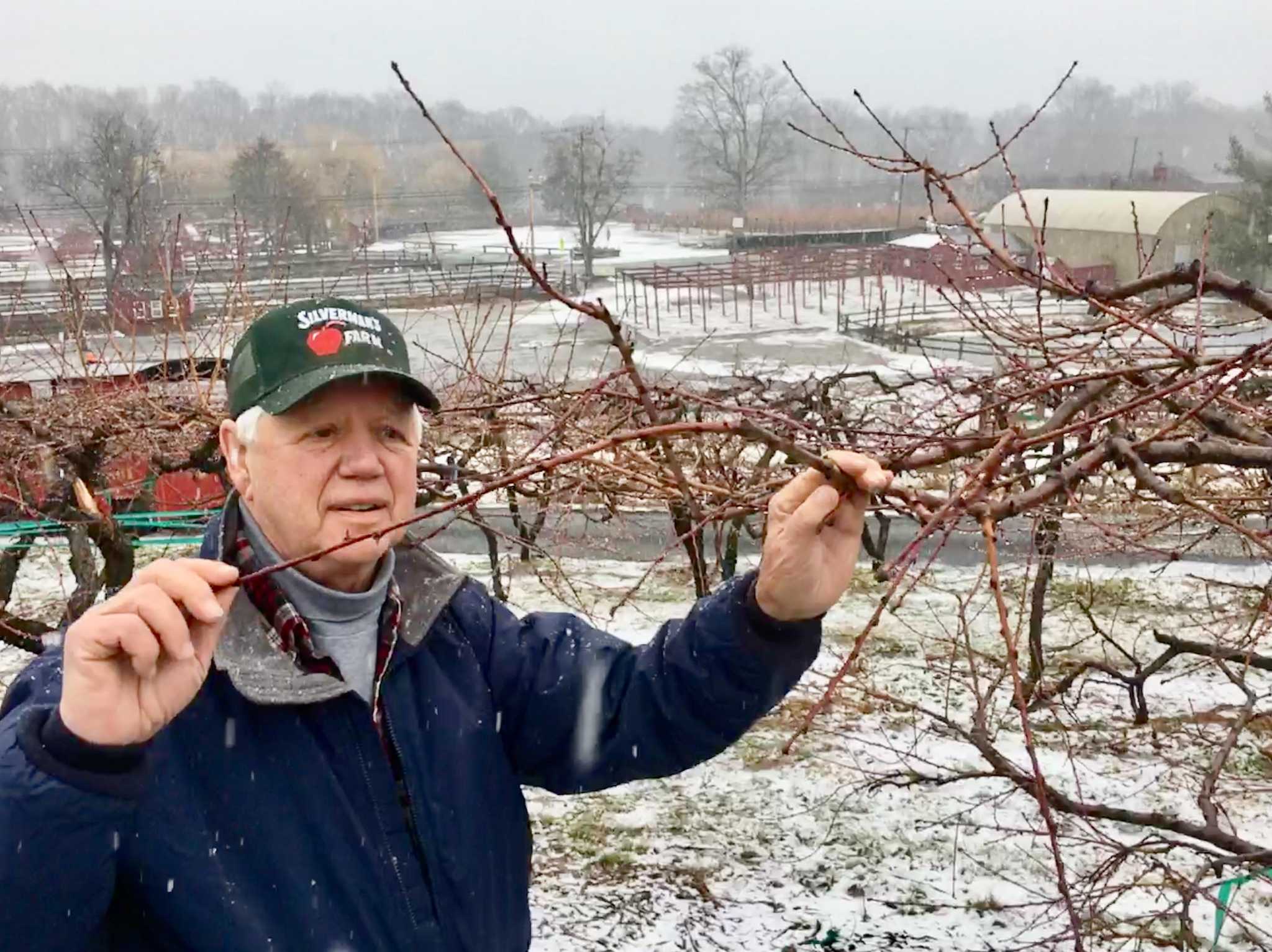 Dan Haar: Peaches matter, and worries rise with arctic cold