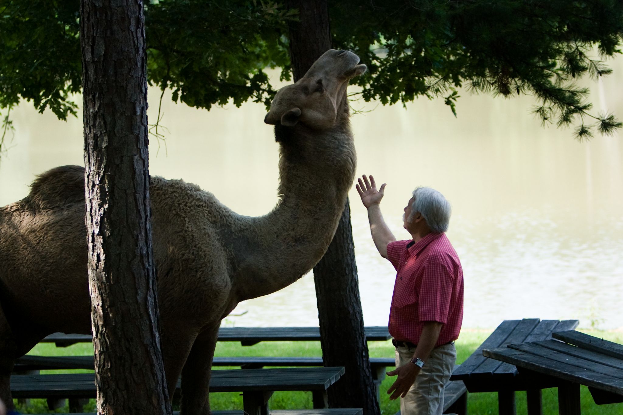 Photos go inside the Karolyi ranch in New Waverly, Texas