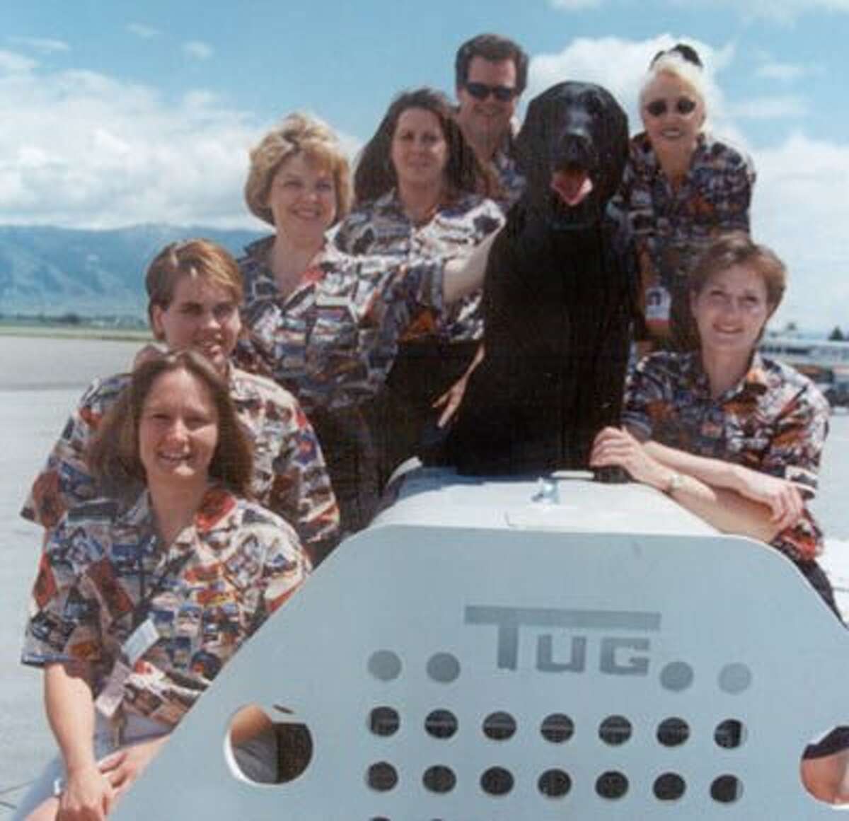 Ever found yourself wondering about the Alaska Airlines logo? You're ...