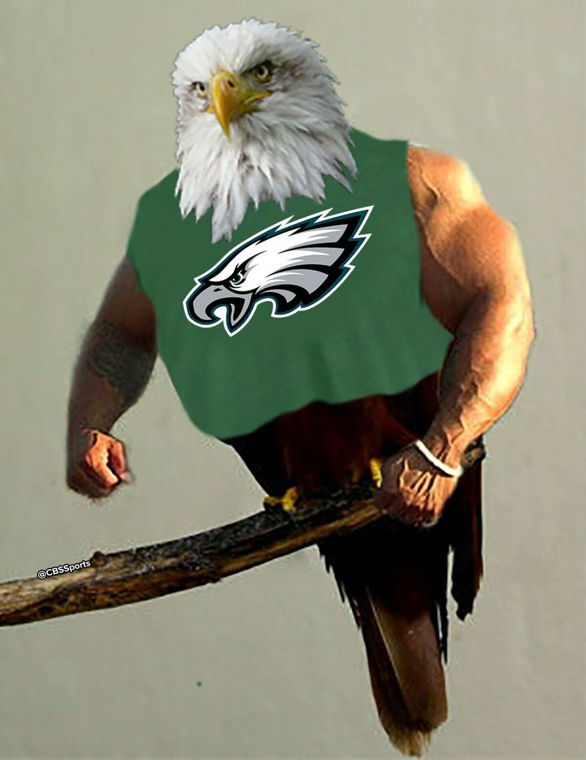 Memes celebrate Patriots, Eagles' huge wins
