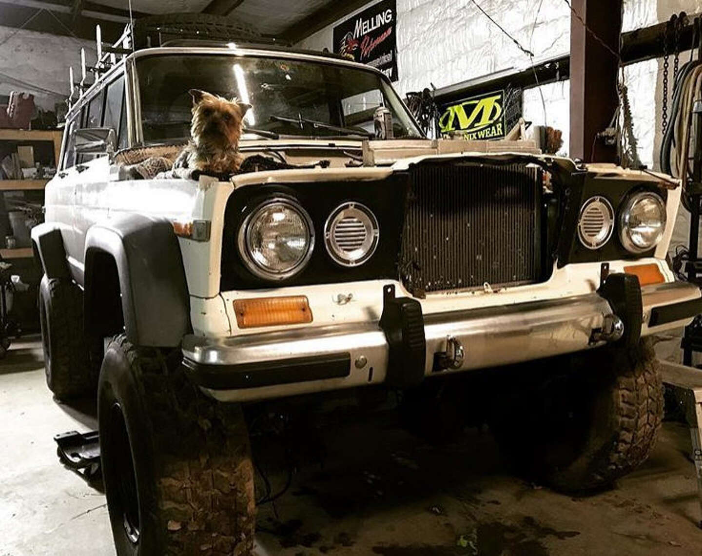 Texas woman may be television's next big car show star