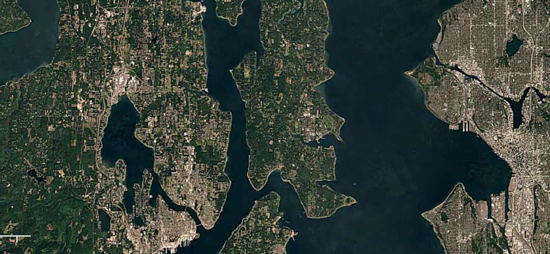 Google Maps timelapse shows how Seattle's changed over the years
