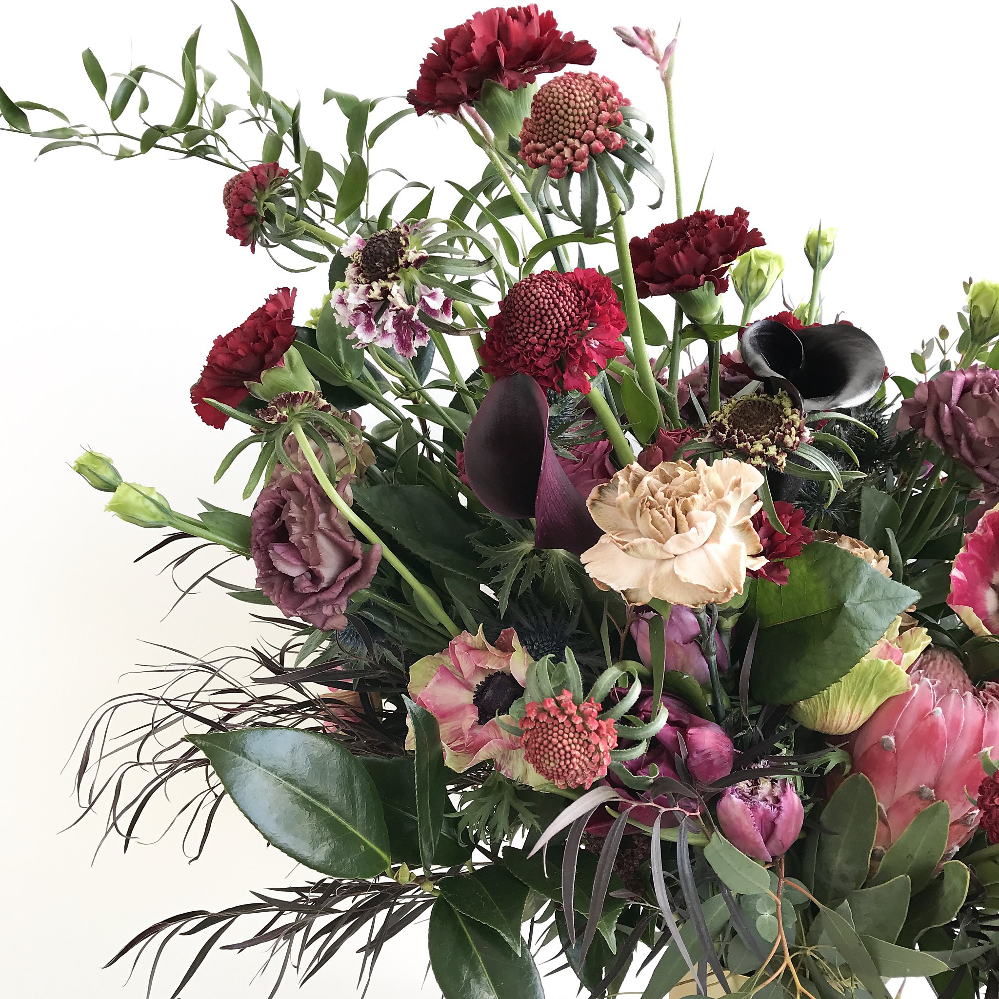 In praise of the carnation