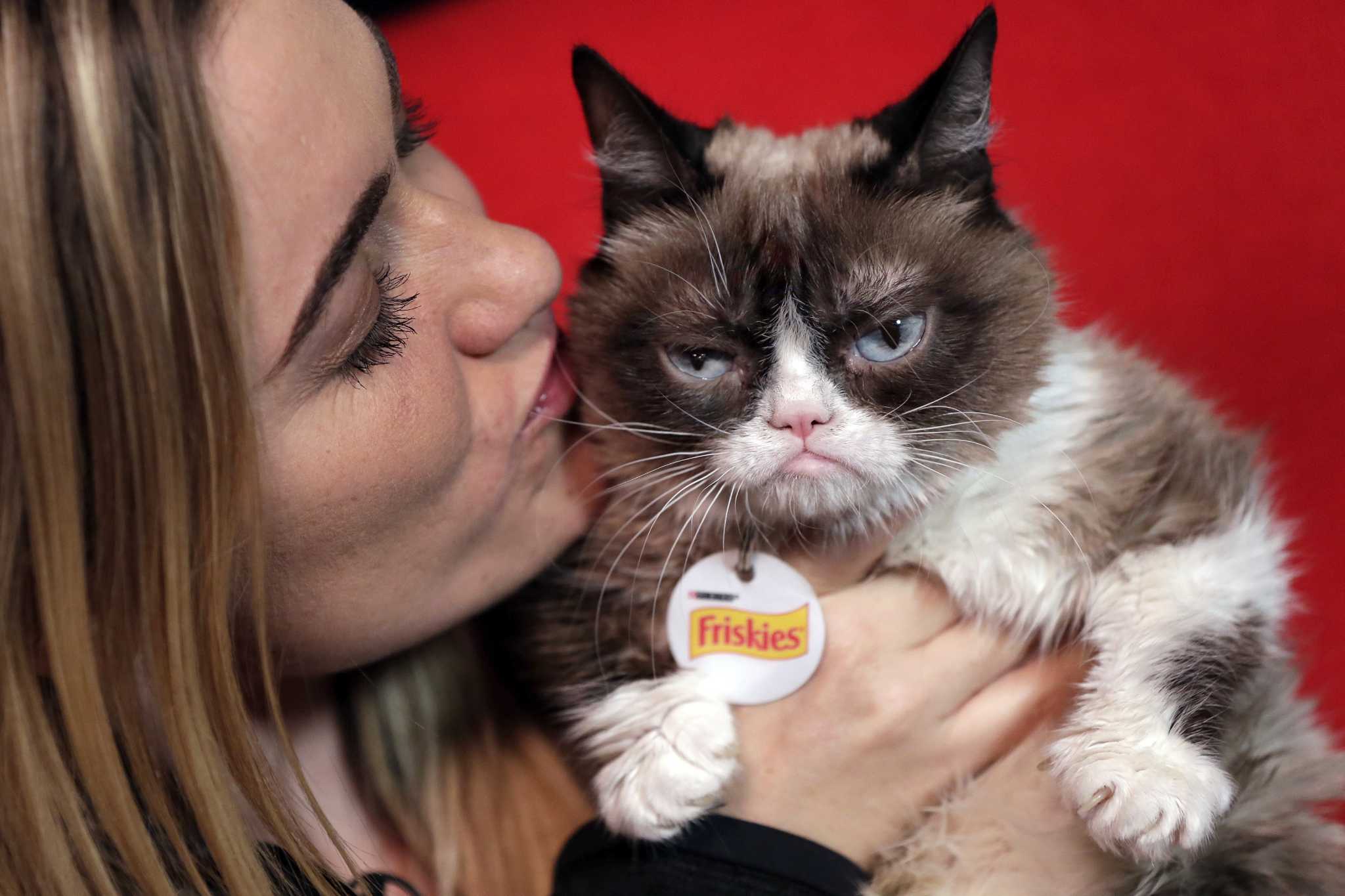 Jury award will cheer up Grumpy Cat's owner