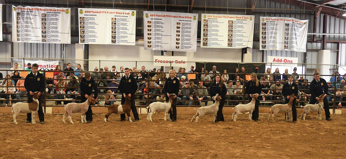 Tomball students showcase animal raising skills at annual FFA show