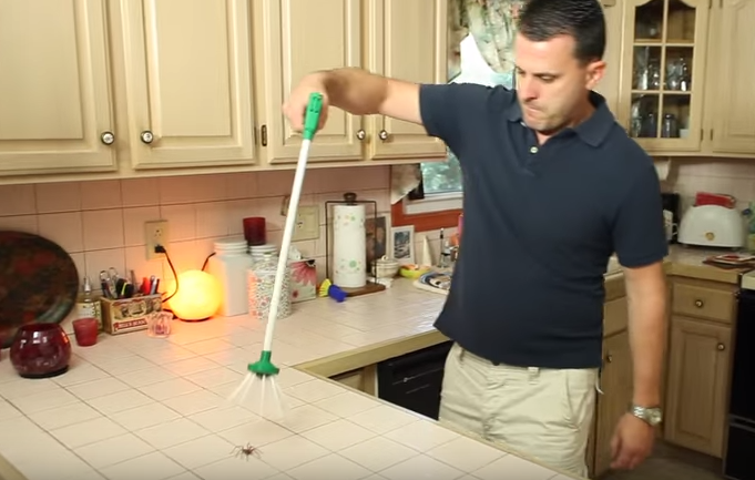This no-kill spider device is somehow hot right now