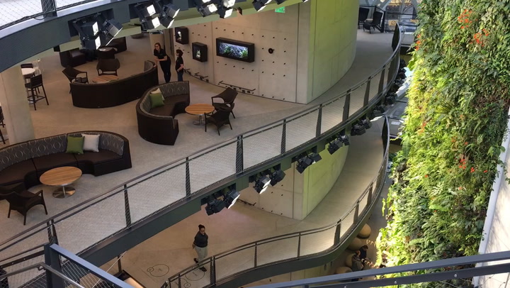 Amazon's Seattle Spheres open: 'Iconic' link to nature