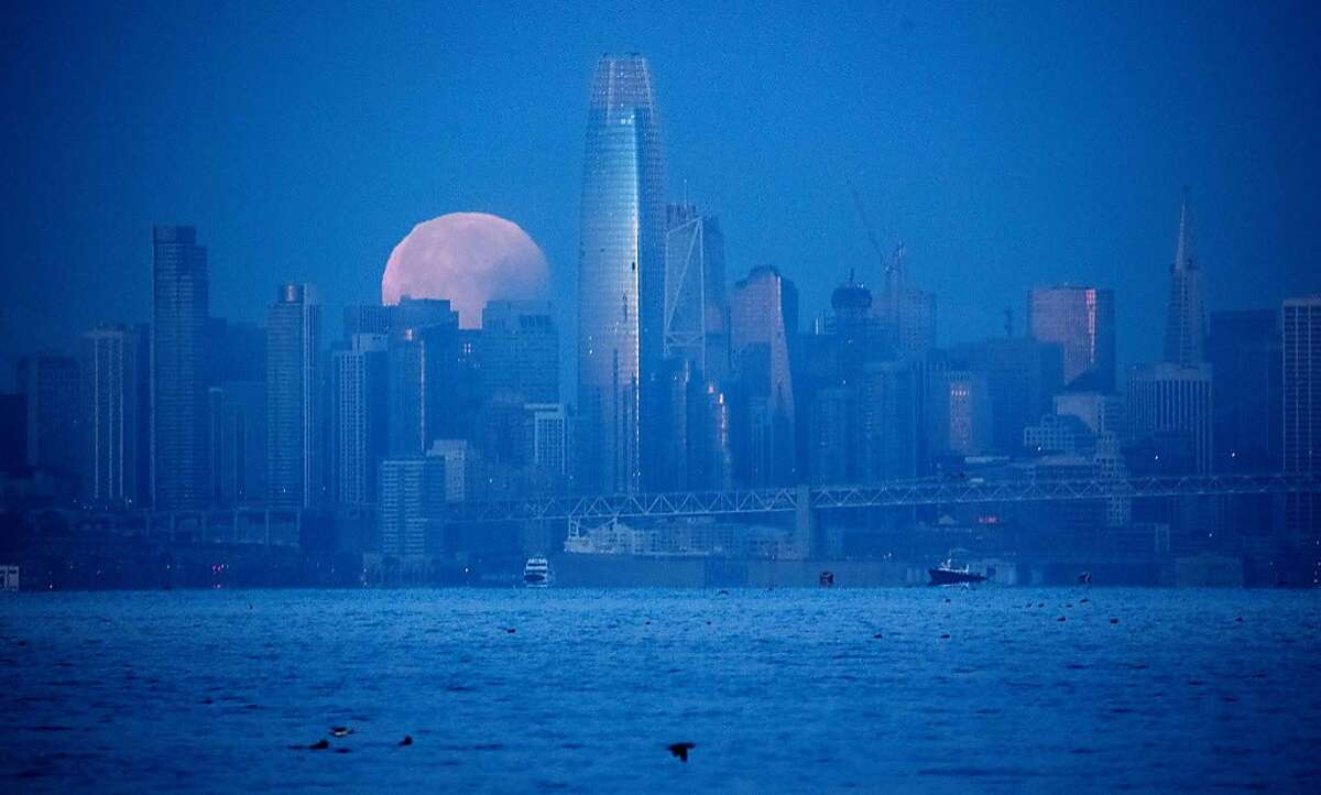 Super blue blood moon brings out Bay Area eclipse fans
