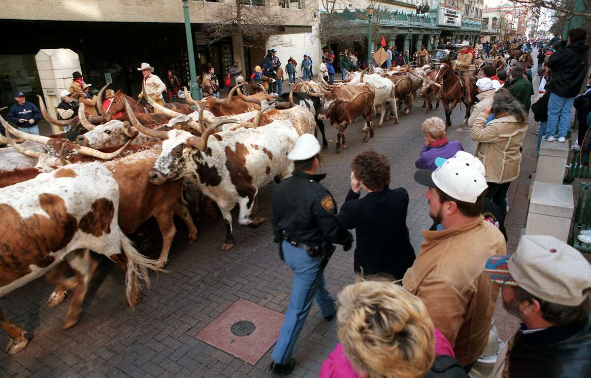 Western Heritage Parade & Cattle Drive brings out the longhorns